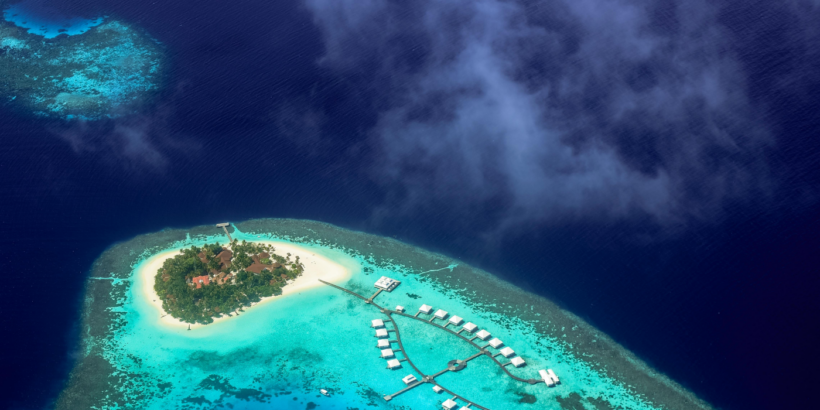 Adventure Shore Excursions – explore Half-moon reef & Coral Mountain ...